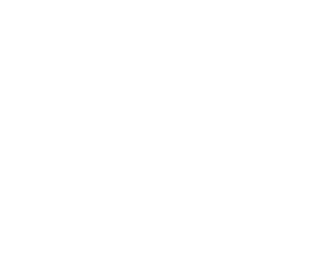 logo white-with no background NO ICONS-v1 – Wrapex West Coast